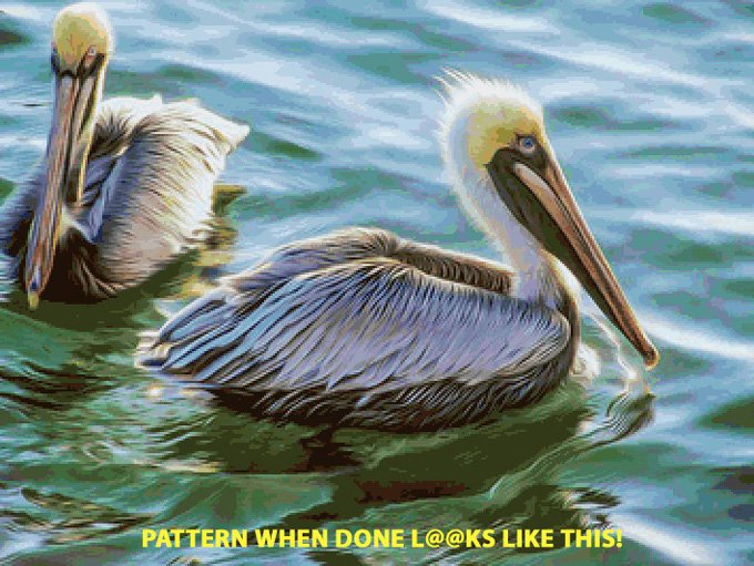 Crafts Pelican Pair Cross Stitch Pattern***look***buyers Can Download ...