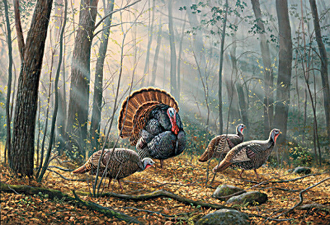 Woodland Wild Turkey Cross Stitch Pattern***look***buyers Can Download ...